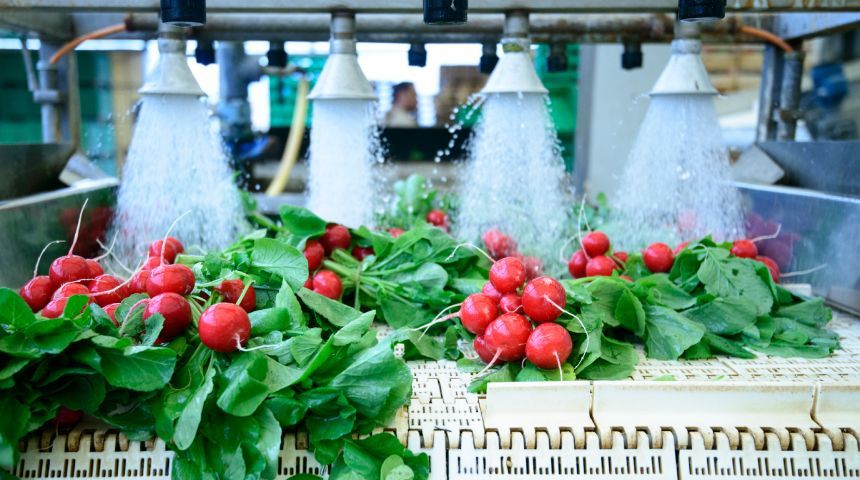 Food Processing | Aquatech